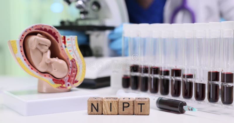 Setting Up NonInvasive Prenatal Testing in a Lab Needs Careful Planning ...