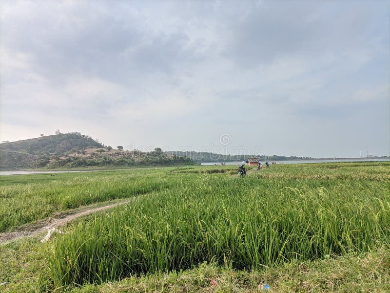 Setu Peg Lake Stock Photos - Free & Royalty-Free Stock Photos from ...