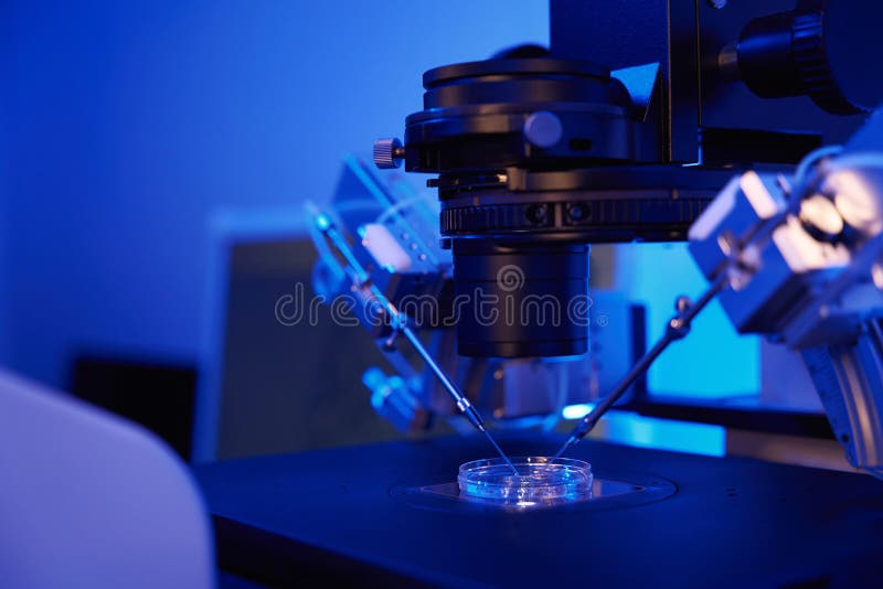 Setup Applied for ICSI Procedure in Lab Setting Stock Photo - Image of ...