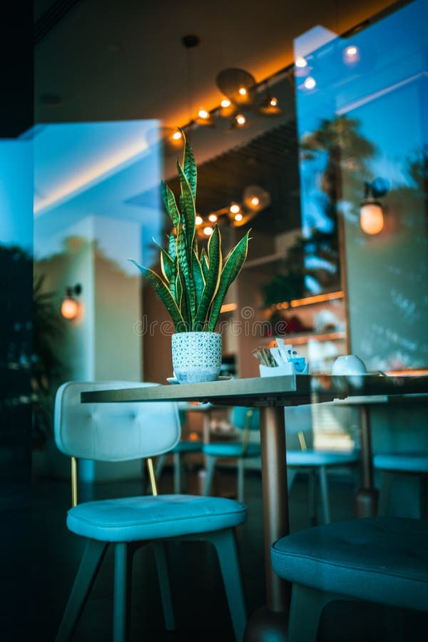 Setup cafe stock image. Image of interior, setup, cafe - 264855773