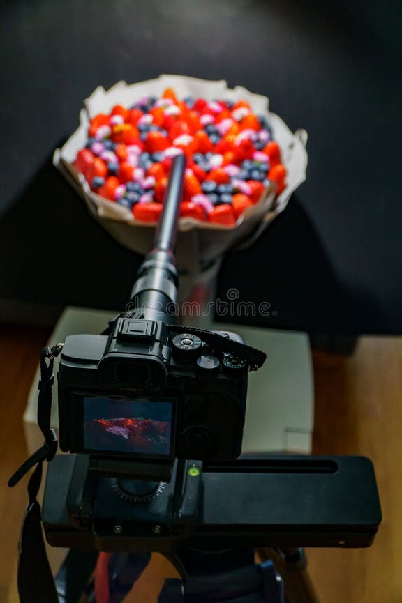 Setup for shooting macro. stock photo. Image of macro - 243419808