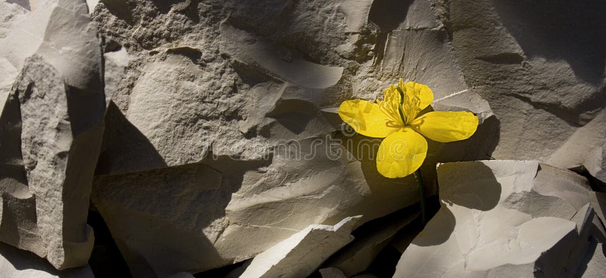 688 Photos de Men Bulge - Photos de stock gratuites et libres de droits ...