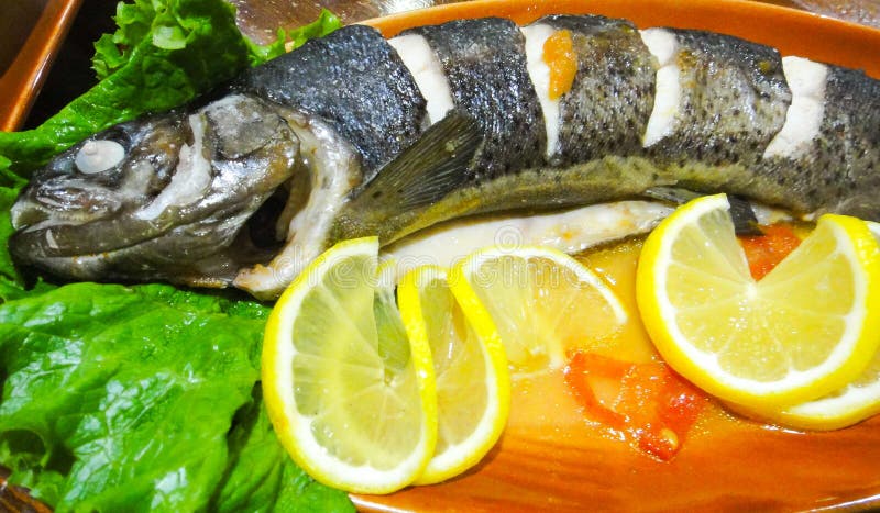 Sevan Trout fish stock photo. Image of greens, yellow - 67364770