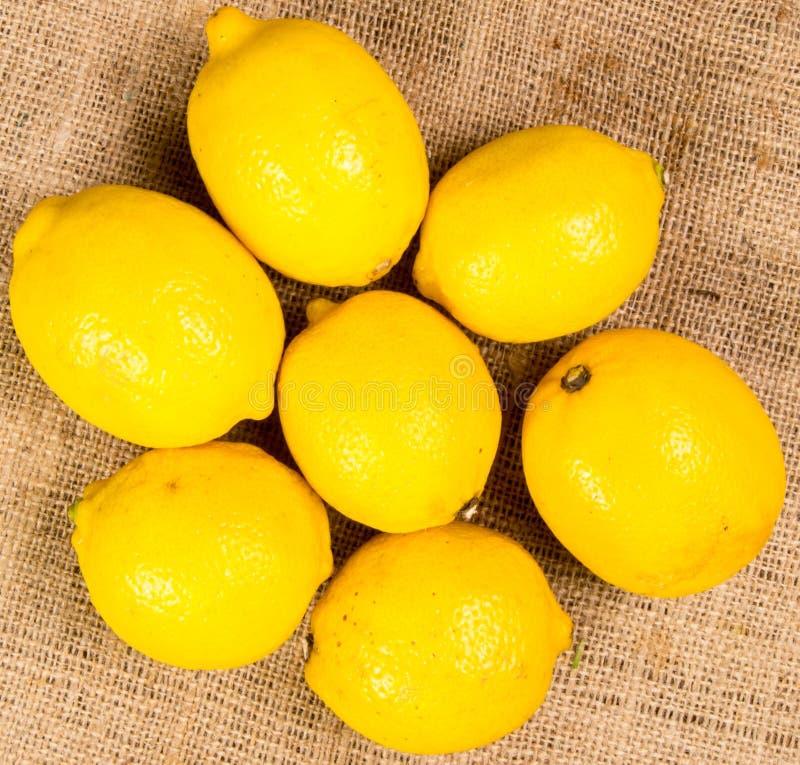 Seven Beautifully Colored Lemons on a Canvas Stock Photo - Image of ...
