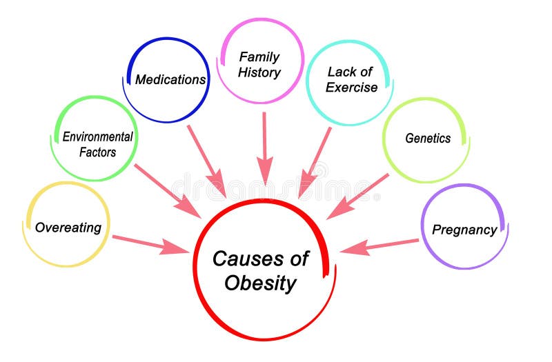 Obesity Diagram Stock Illustrations – 544 Obesity Diagram Stock ...
