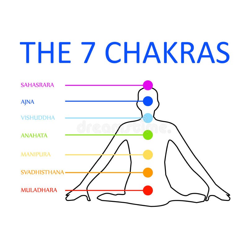 The Seven Chakras of the Human Body with Their Names Stock Vector ...