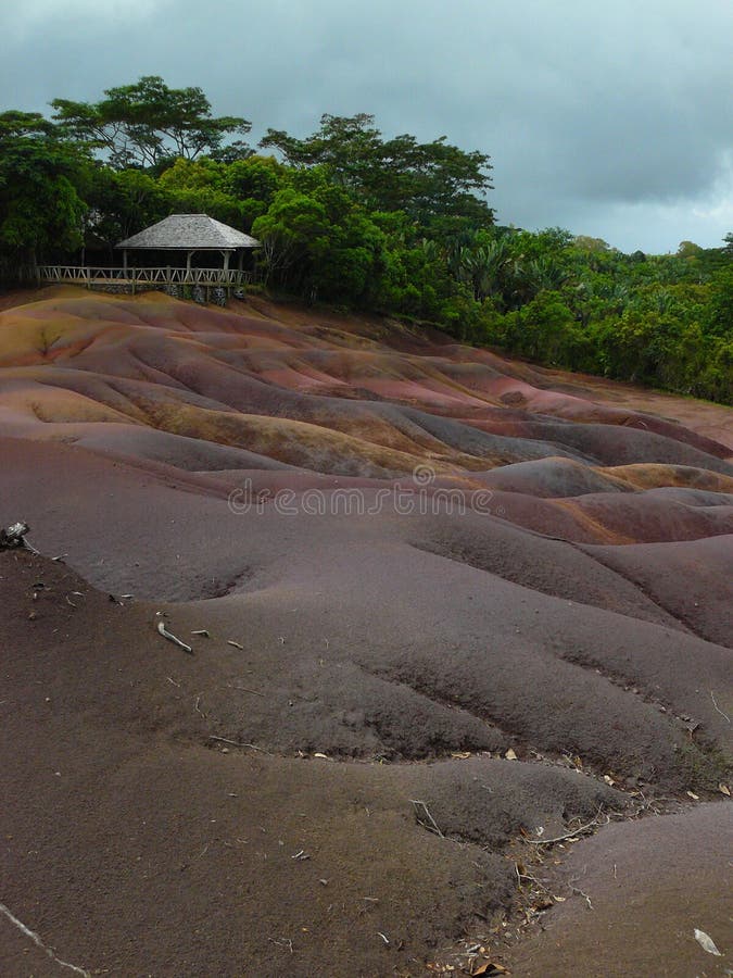 Seven Color Land Mauritius Summer Tree Stock Image - Image of nature ...