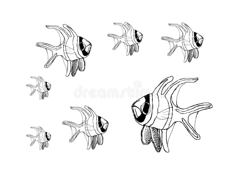 192 Ocean Colouring Stock Photos - Free & Royalty-Free Stock Photos ...