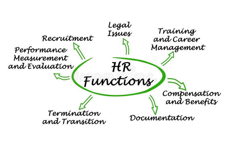 Functions of Human Resources Stock Illustration - Illustration of ...