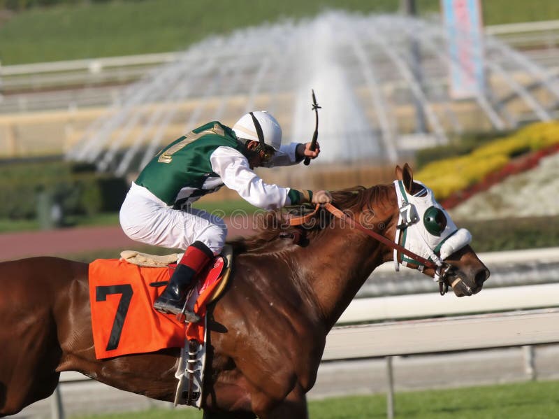 Seven Horse Takes the Lead stock photo. Image of colorful - 2074300