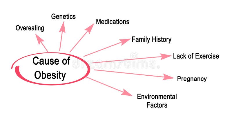 Cause of Obesity:.Genetics, Behaviour, and Environment Stock ...