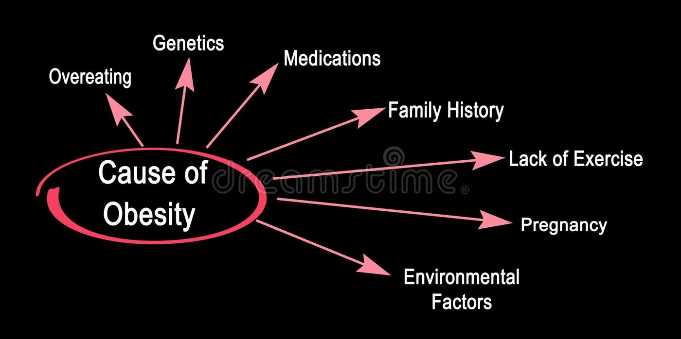 Factors Cause Obesity Stock Illustrations – 15 Factors Cause Obesity ...