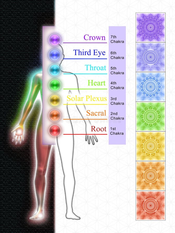 Chakra Diagram stock illustration. Illustration of female - 41243932