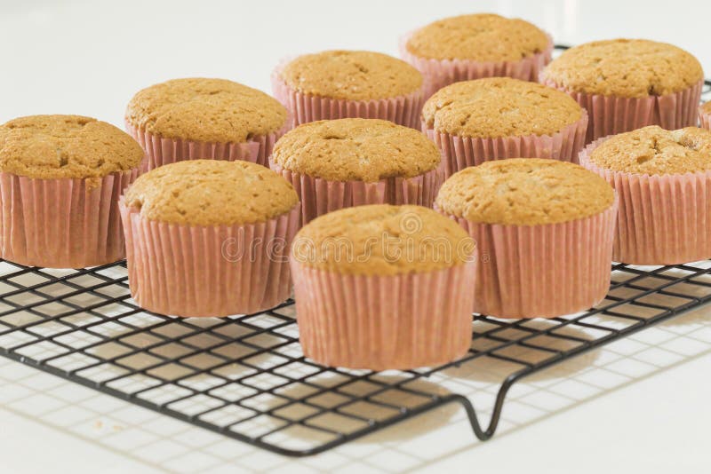 Seven Newly Made Cinnamon Cupcakes in a Cooling Rack Stock Photo ...