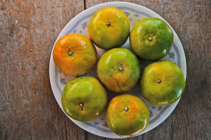 Seven oranges in the dish stock photo. Image of tree - 98223310