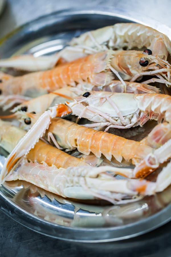 Seven Prawns Together Lying in a Form of Circle Stock Photo - Image of ...