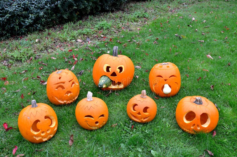 Seven Pumpkins stock image. Image of seasonal, light - 46265563