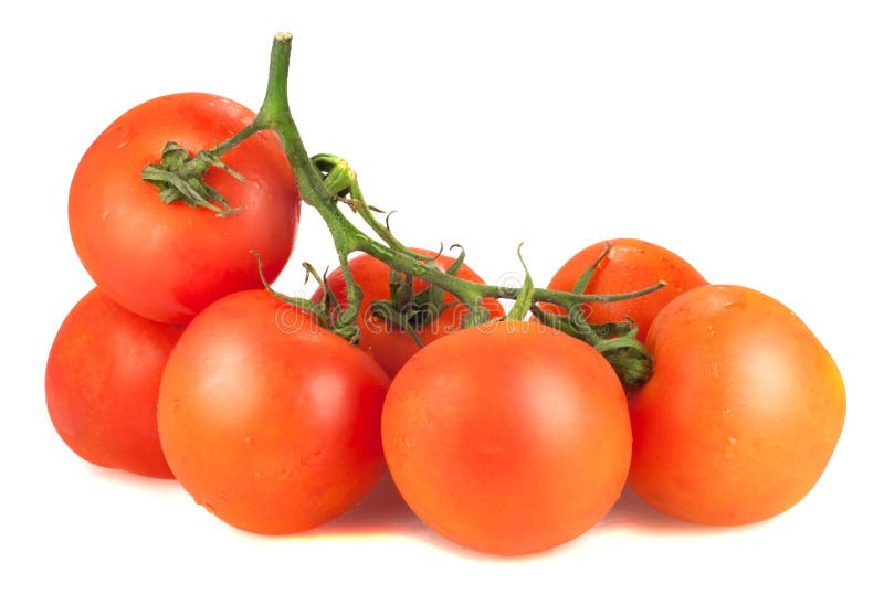 Seven Tomatoes Building a Ring of Vegetables Stock Photo - Image of ...