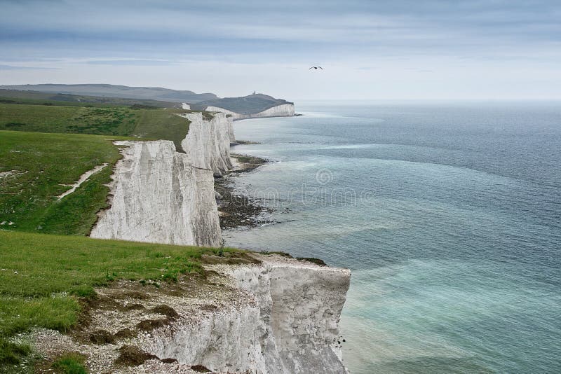 Seven sisters chalk cliffs stock photo. Image of scenics - 33456738