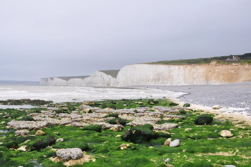 Seven Sisters White Chalk Cliffs at Birling Gap Beach Stock Image ...