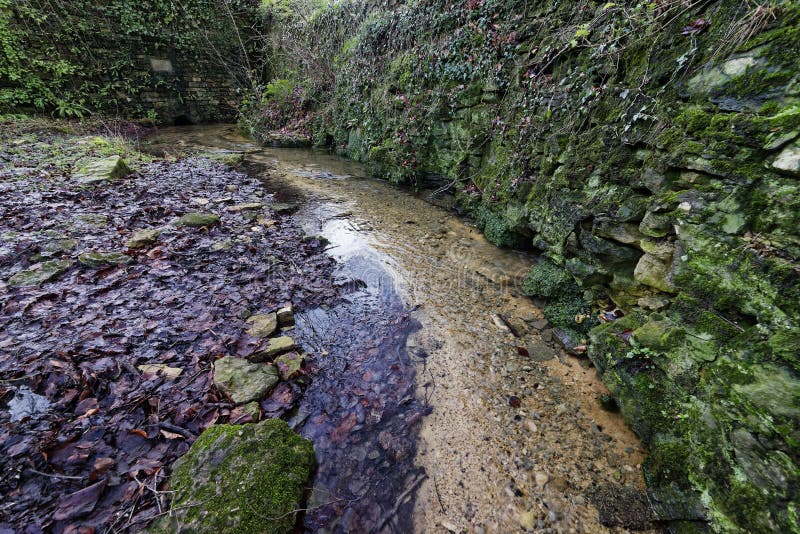 Seven Springs stock photo. Image of spring, river, england - 170385048