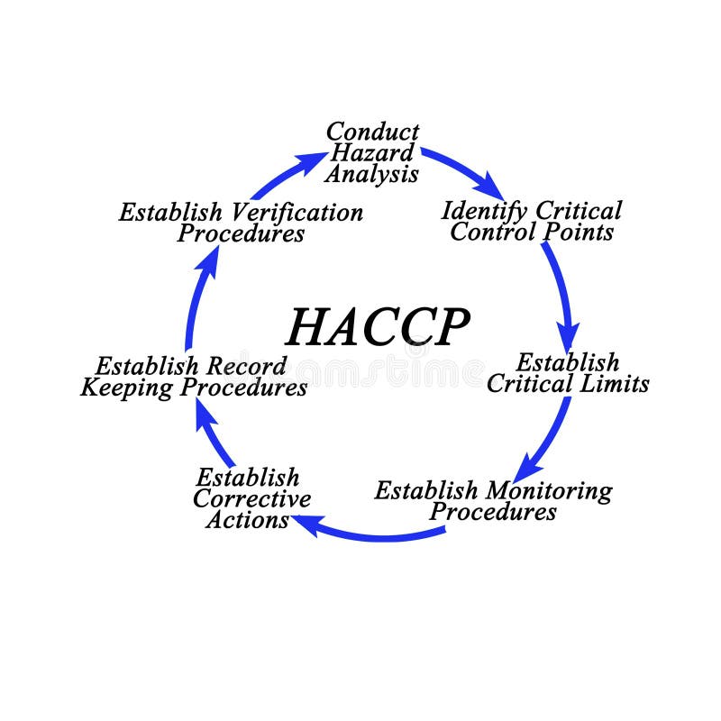 Steps of HACCP Implementation Cycle Stock Image - Image of haccp ...