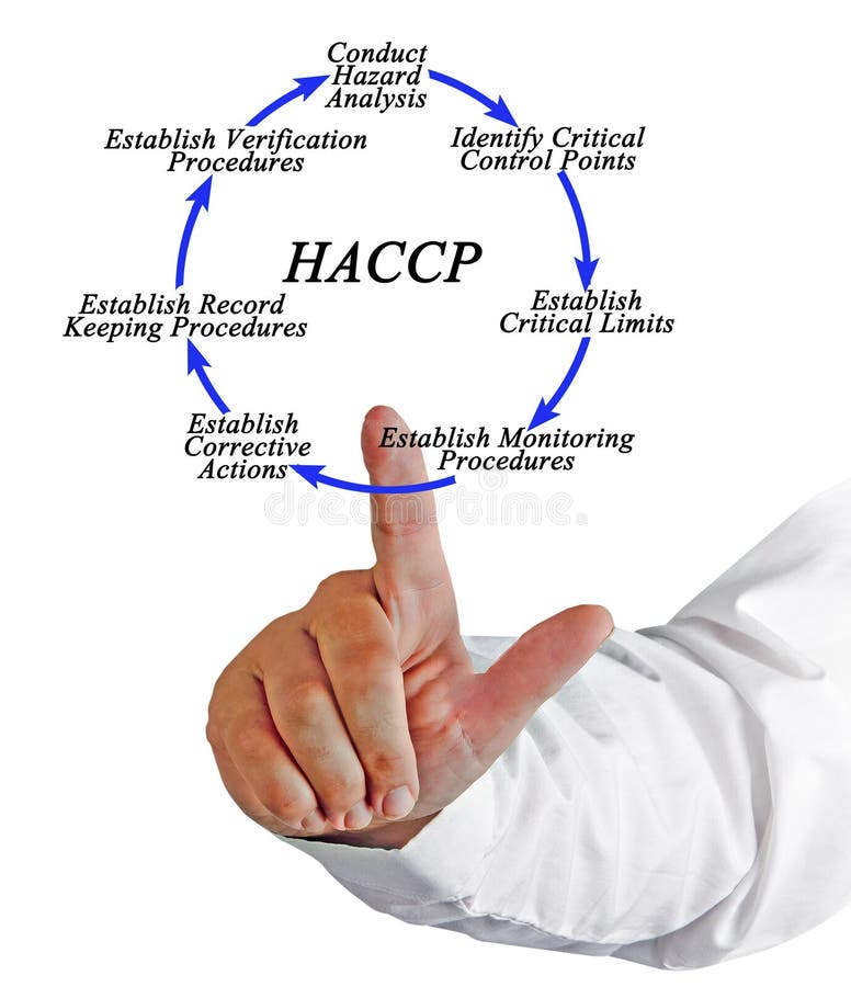 Steps of HACCP Implementation Cycle Stock Image - Image of diagram ...