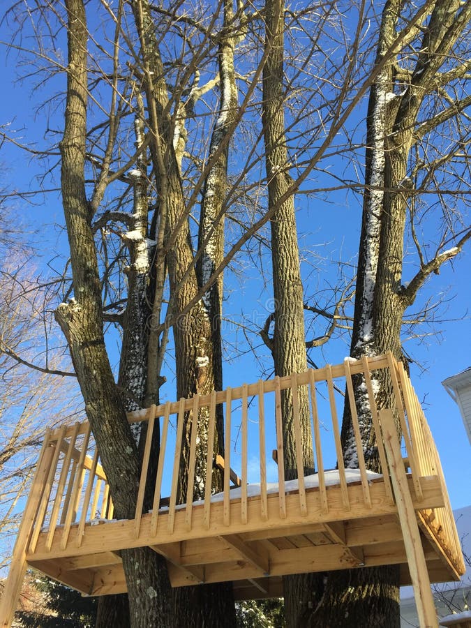 The Seven Tree Treehouse stock photo. Image of deck, work - 52754486