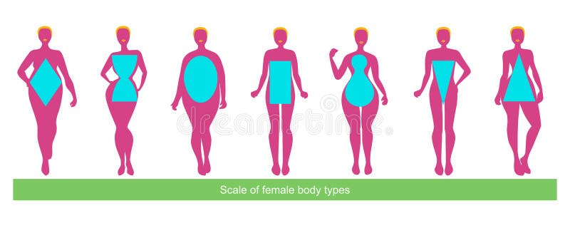 Seven Types of Female Figures. Vector Illustration Stock Illustration ...