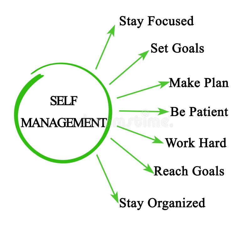 Self-management Competencies Stock Illustration - Illustration of ...