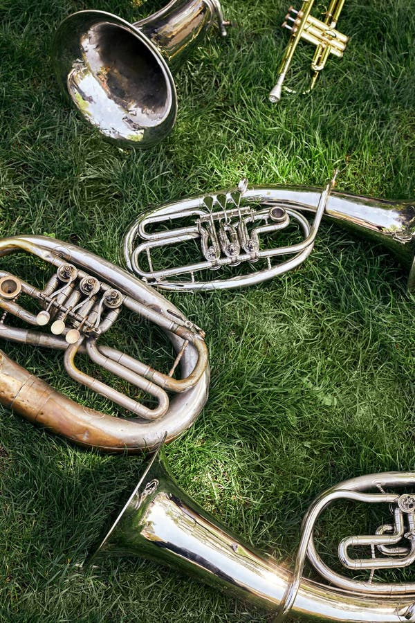 Wind instruments stock photo. Image of instruments, director - 700204