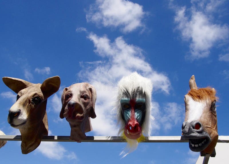 Several animal masks stock photo. Image of wild, background - 94444630