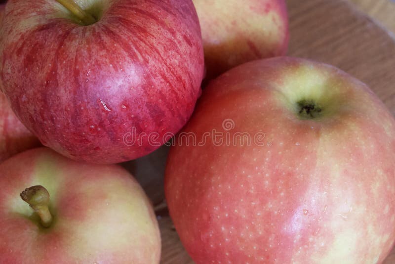 Several Apples of the Gala and Ligol Varieties, a Close-up Shot Stock ...