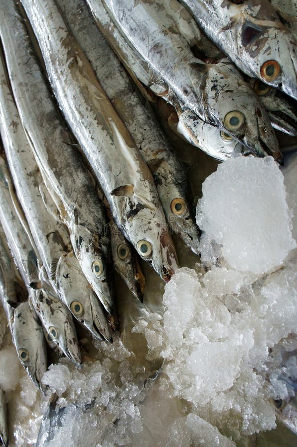 Several asian ribbon fish stock photo. Image of heap - 20323558