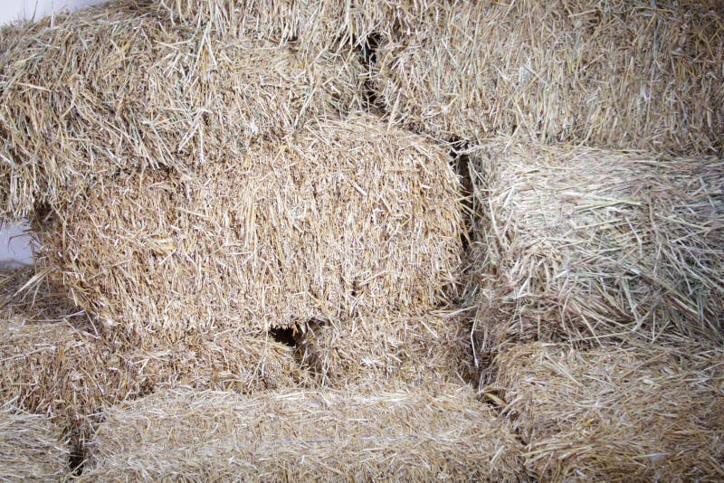Several Bales Of Rectangular Straw Stacked On Top Of Each Other Stock ...