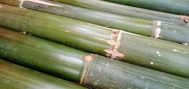 Several Bamboo Stalks in the Stack Can Be Used As Chairs or Benches ...