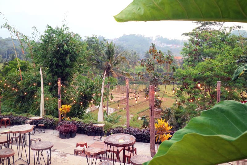 Several Benches and Tables Made of Wood on the Edge of the Rice Fields ...