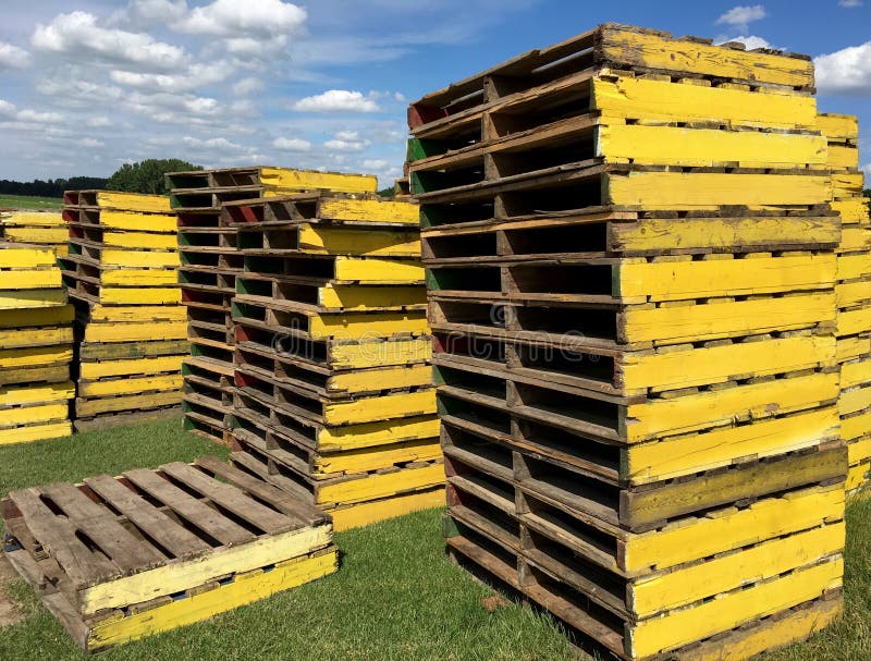 Several Big Stacks of Yellow Wooden Pallets Stock Image - Image of ...