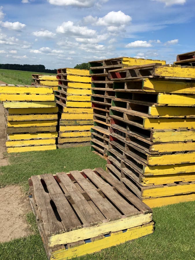 Several Big Stacks of Yellow Wooden Pallets Stock Image - Image of ...