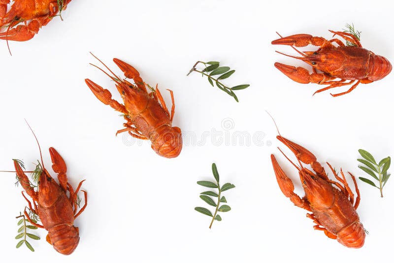 Several Boiled Crawfish Isolated on White. Top View Stock Image - Image ...