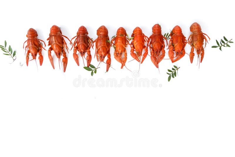 Several Boiled Crawfish Isolated on White. Top View Stock Photo - Image ...