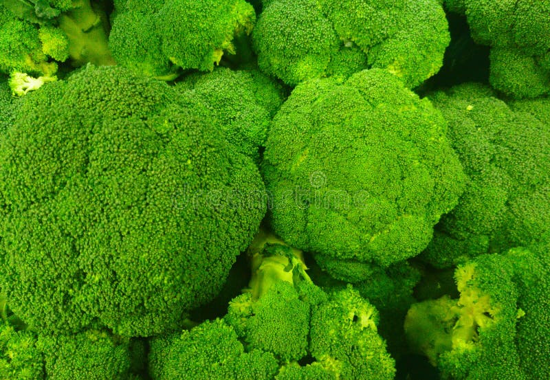 Several Broccoli Background Stock Photo - Image of vegan, nature: 118095352