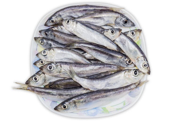 Several capelin on dish stock image. Image of atlantic - 56253927