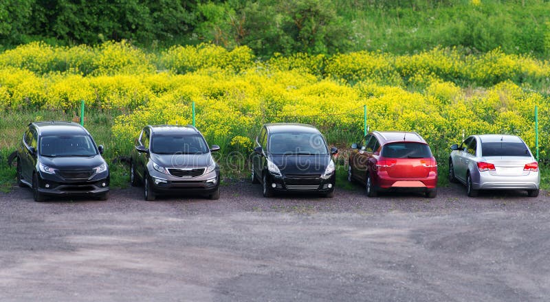 Several cars parked. stock photo. Image of market, buying - 73873922