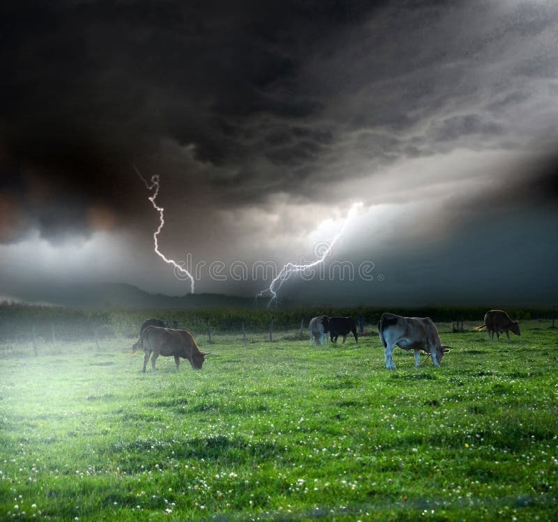 Peaceful Under the Approaching Storm Stock Image - Image of cloudy ...