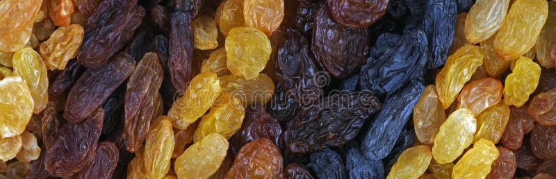 Several Different Varieties of Raisins are Placed in Rows Obliquely ...