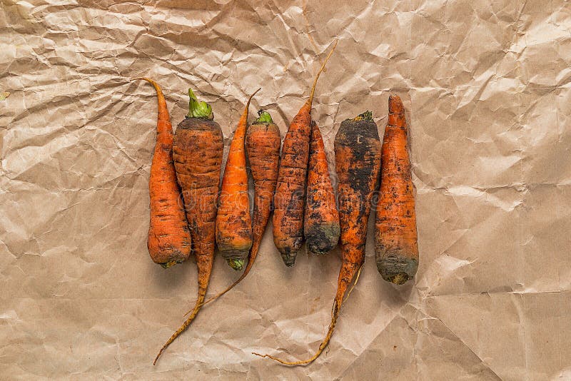 Several Dirty Carrots on a Crumpled Paper Stock Image - Image of pile ...