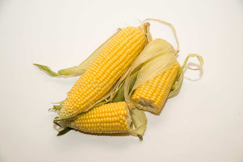 Several Ears of Corn on Over White Stock Image - Image of granule ...