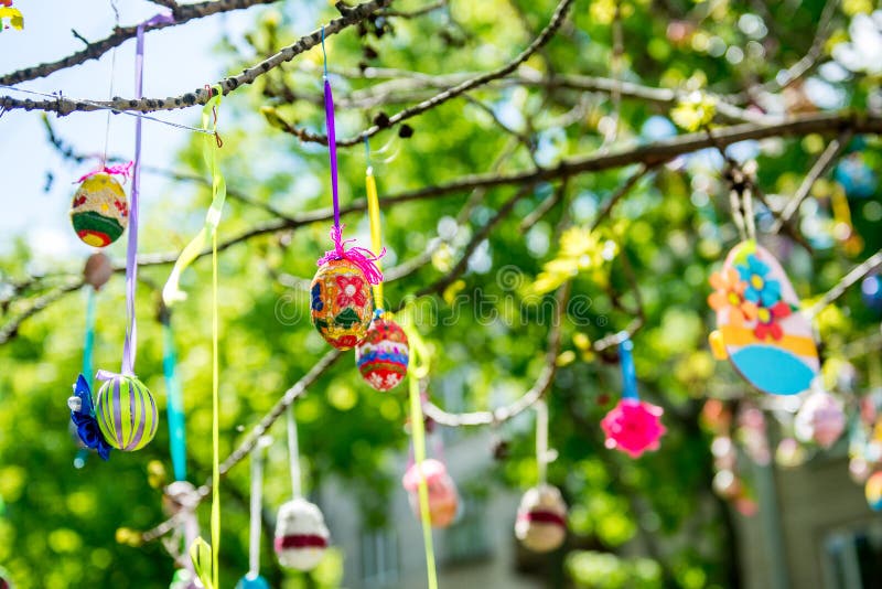 Several Easter Colored Eggs Hanging on a Tree Branch Stock Photo ...
