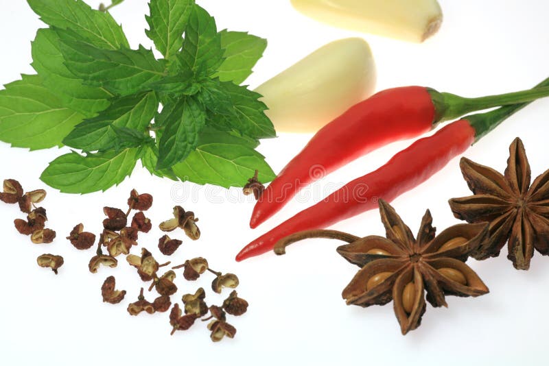 Several Food Condiment stock photo. Image of green, plant - 6714850